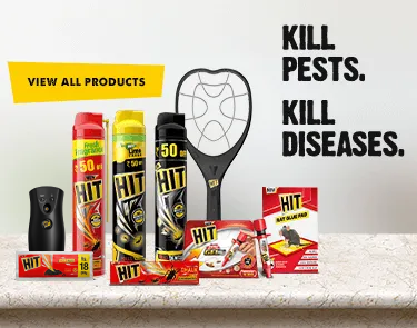Godrej Hit Mosquito Cockroach Insect Killer Pest Control Specialist